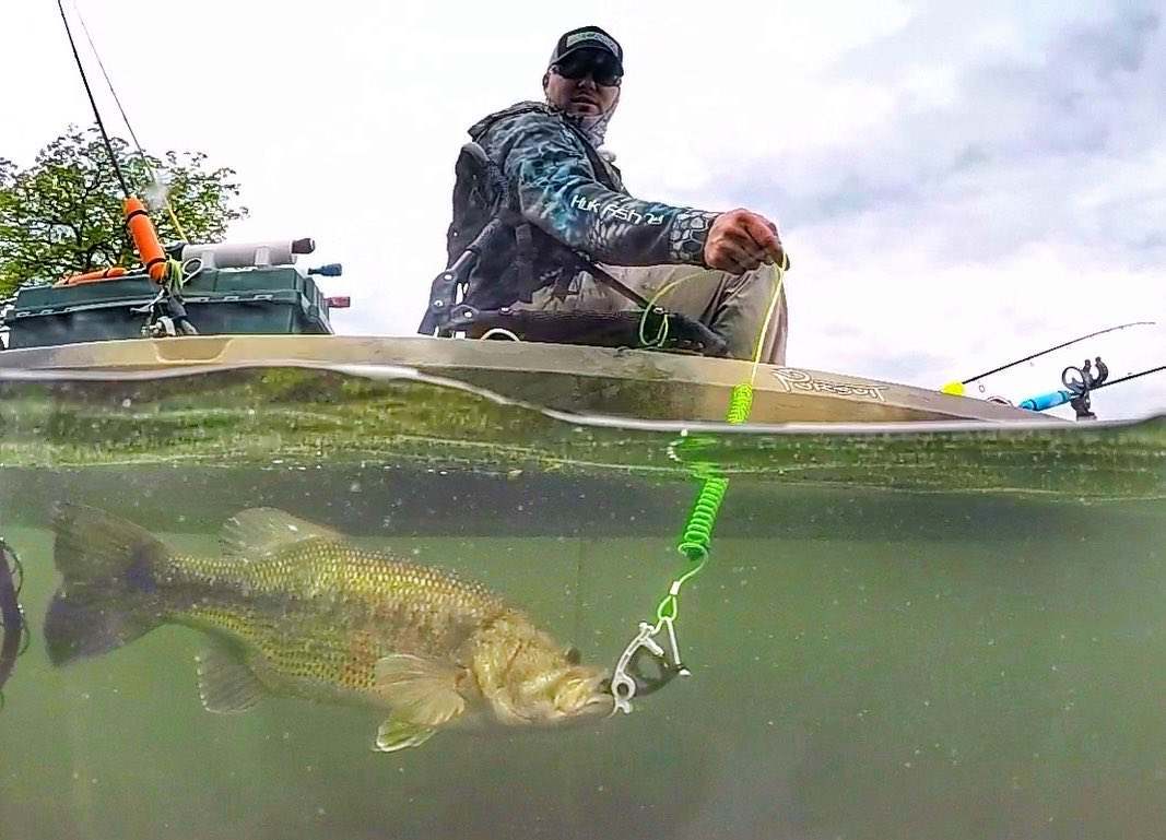 Cal Coast Fishing Donkey Leash Culling Systems – TackleWorkz